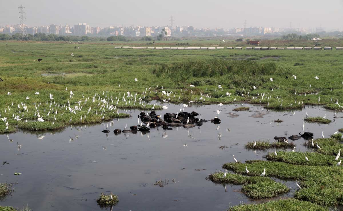 IFAT 2008 – Reinigung der Abwässer in Indien - G.A.A.
